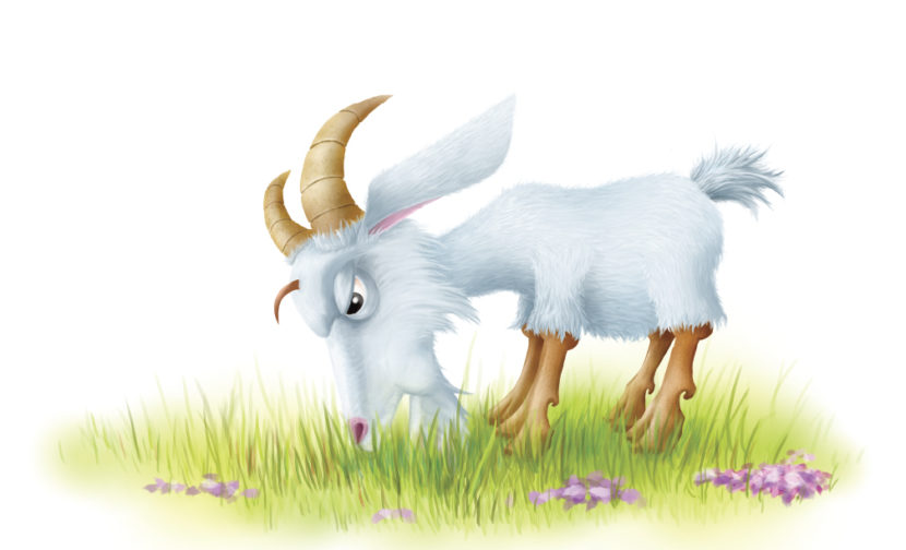 Illustrations – Steven Reeser